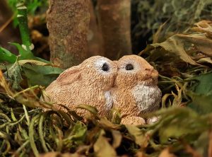 SECOND ACTION NOT STRUCK OUT AS AN ABUSE OF PROCESS: CLAIM IN DECEIT ...